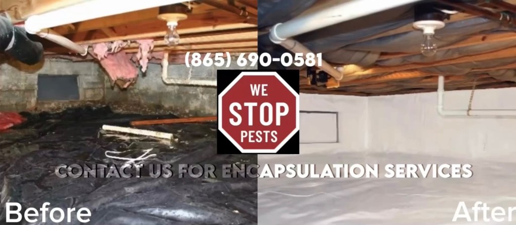 Our Services - Action Exterminating